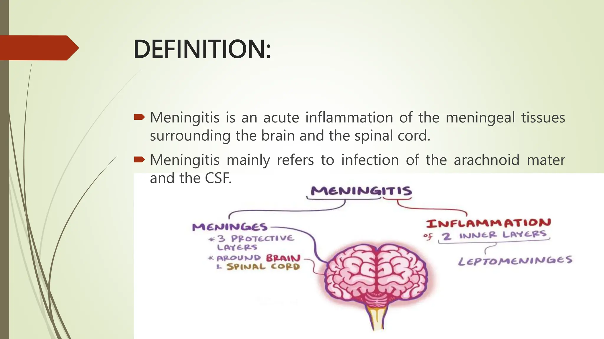 Powerpoint Presentation on Meningitis (Nursing) | PPTX