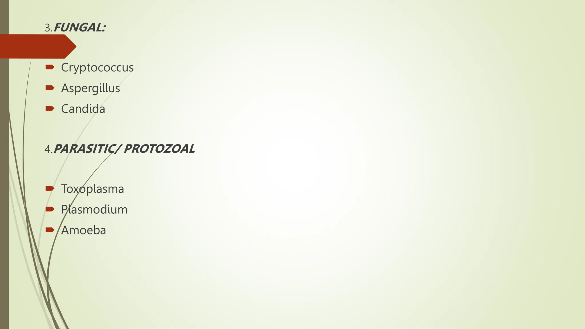 Powerpoint Presentation on Meningitis (Nursing) | PPTX