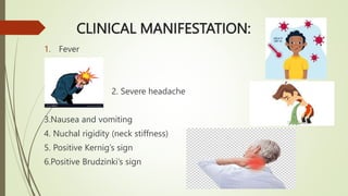 Powerpoint Presentation on Meningitis (Nursing) | PPTX