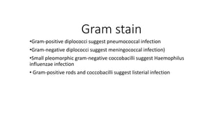 Meningitis.pptx epidemiology and diagnosis | PPT