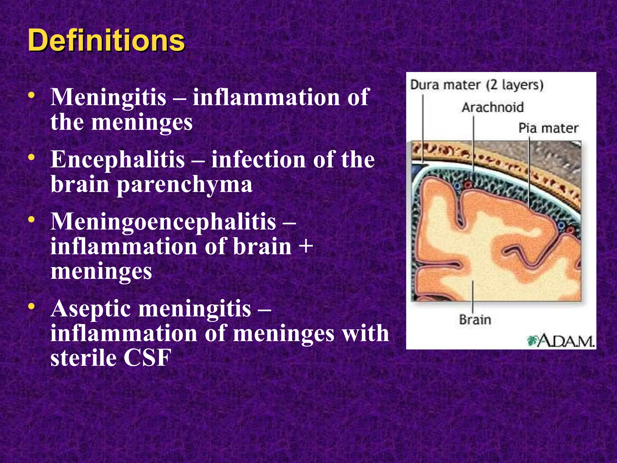Meningitis.ppt contains information on meningitis | PPT