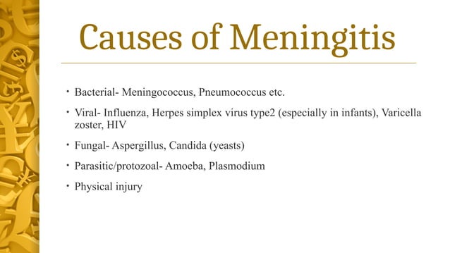 MENINGITIS.ppt introduction to management | PPT