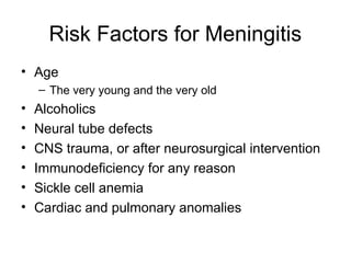 BACTERIA MENINGITIS FOR UNDERGRADUATE STUDENTS | PPT | Free Download