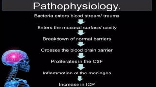 MENINGITIS.pptx Meningitis is a cute inflammation of the pia mater and ...