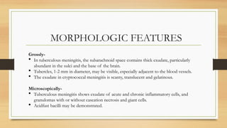 PATHOLOGY OF MENINGITIS TYPES ETIOLOGY.pptx