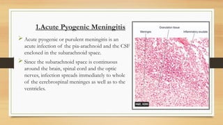 PATHOLOGY OF MENINGITIS TYPES ETIOLOGY.pptx