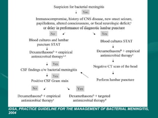 Meningitis Bacteriana | PPT