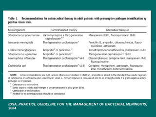 Meningitis Bacteriana | PPT
