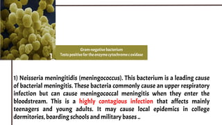 Meningitis .. Microbiological Approach | PPTX