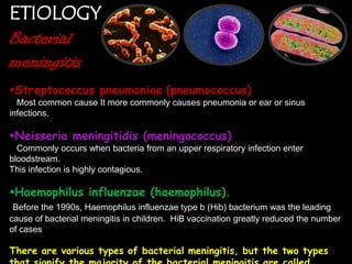 Meningitis | PPTX