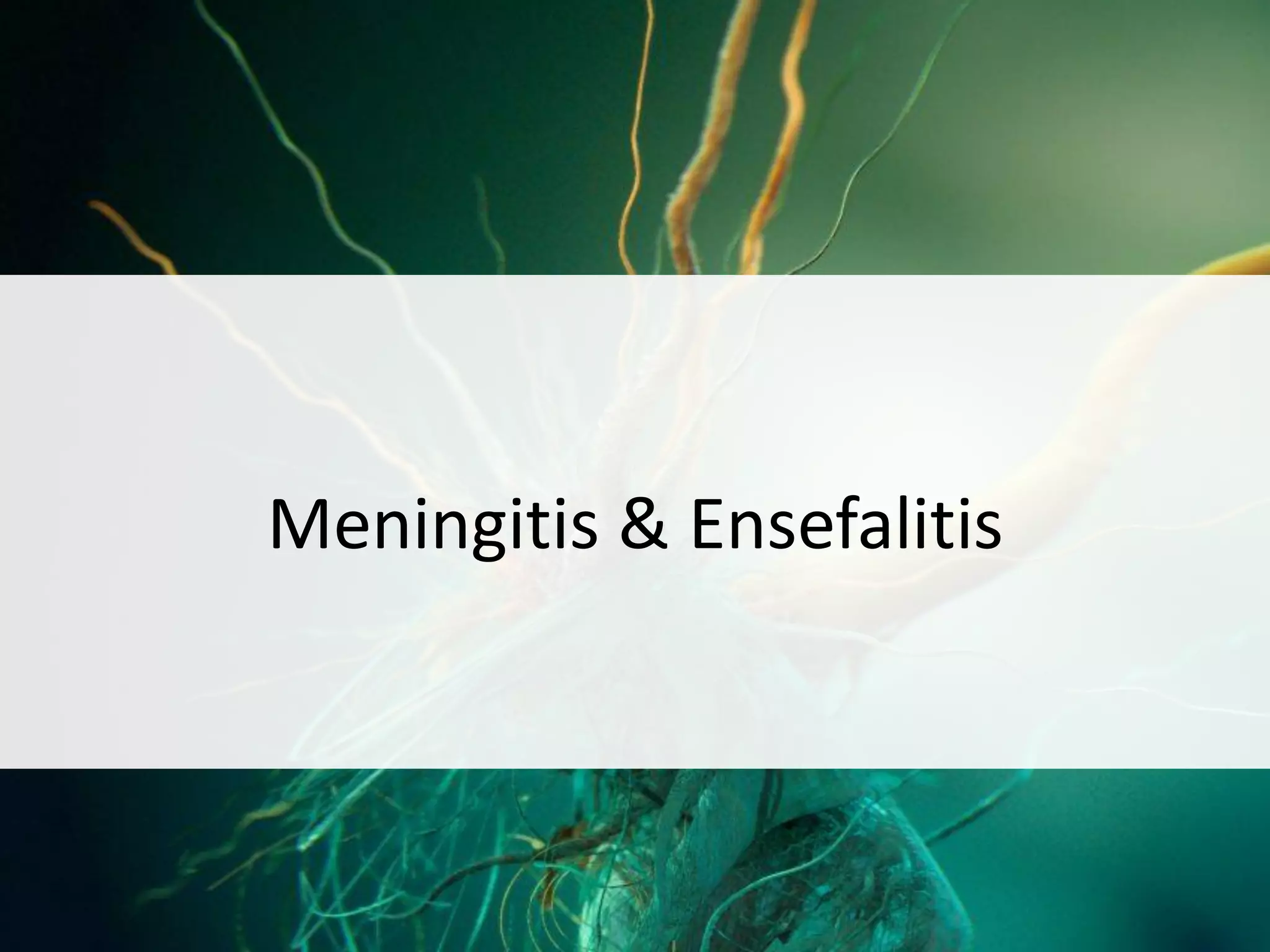 Meningoensefalitis: minireview | PDF