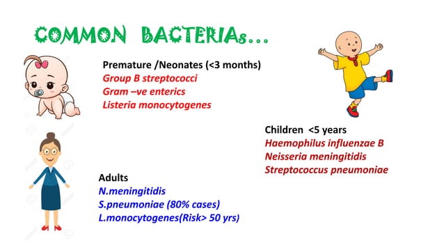 Treatment of Meningitis - Seek Light | PDF