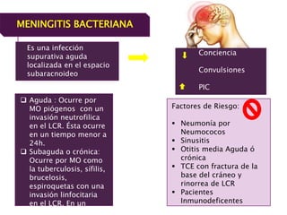 Meningitisbarbara | PPTX