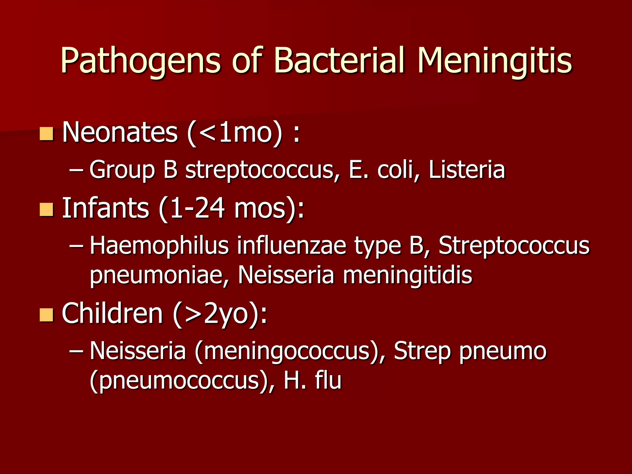 meningitis (5).pptx
