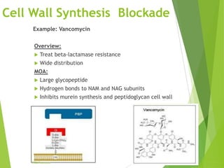 Meningitis antibiotics mechanism of action | PPT