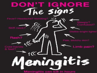 Meningitis by reda said | PPT