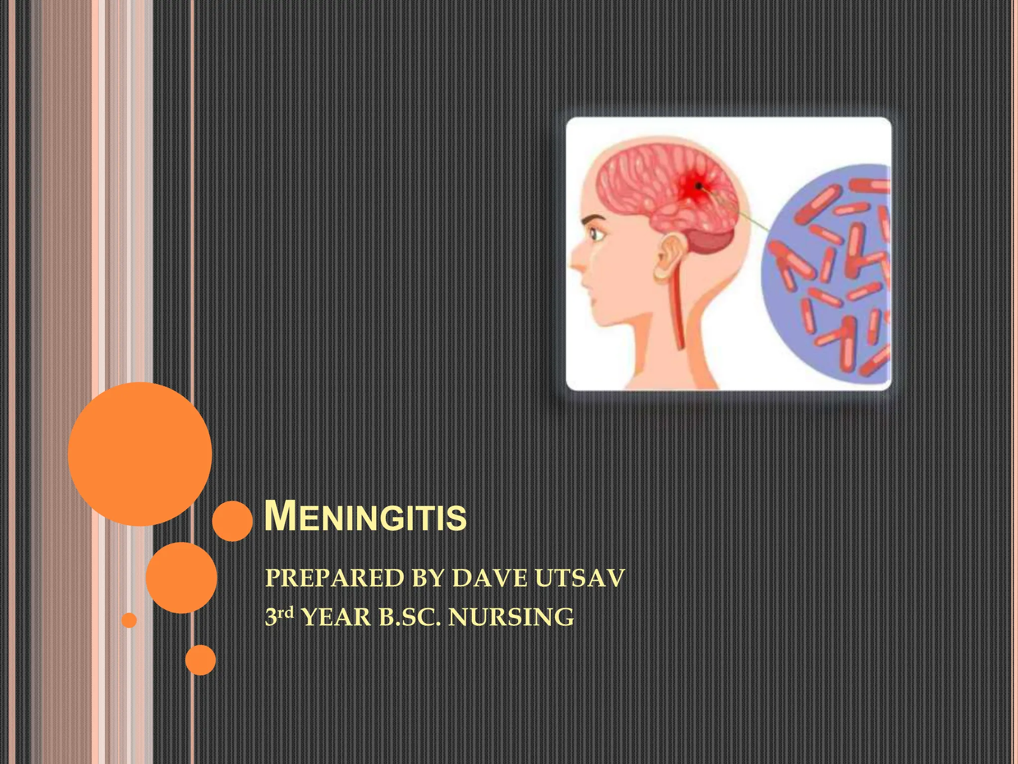 What is the meningitis is described in this ppt by students | PPT