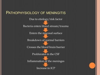 What is the meningitis is described in this ppt by students | PPTX