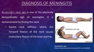 Meningitis | PDF