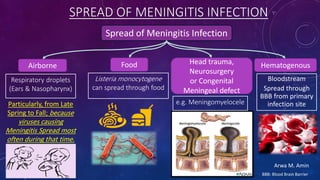 Meningitis | PDF