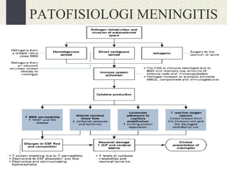 Meningitis | PPTX