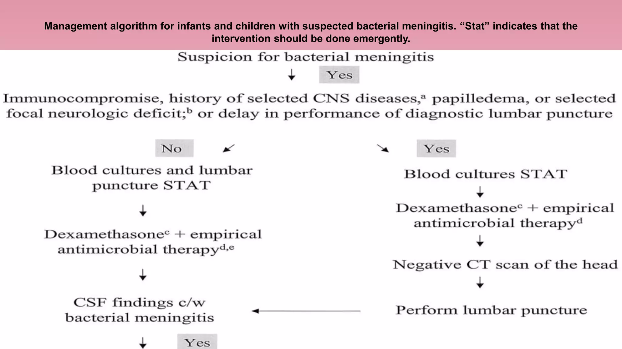Meningitis final.ppt