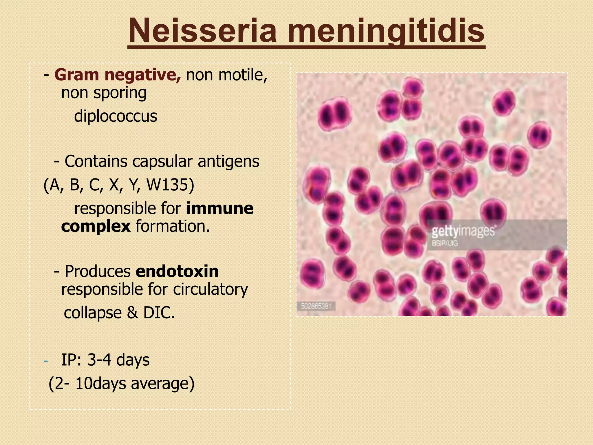 Meningitis (Pediatrics Lecture) | PPTX