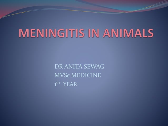 Meningitis in animals | PPTX | Infectious Diseases | Diseases and ...