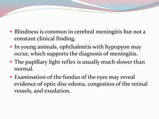 Meningitis in animals | PPTX