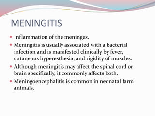 Meningitis in animals | PPTX
