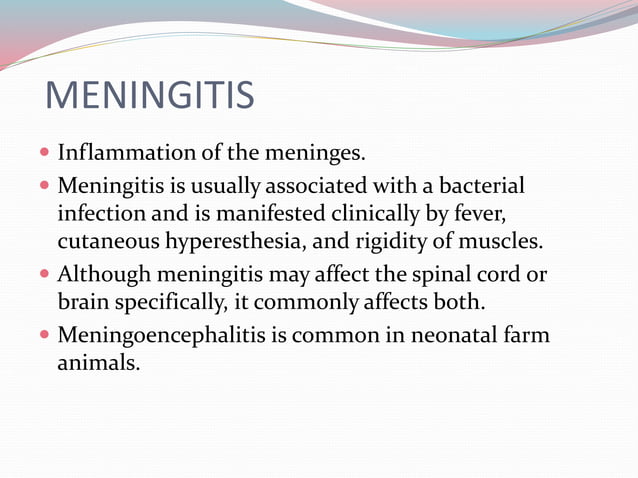 Meningitis in animals | PPTX | Infectious Diseases | Diseases and ...