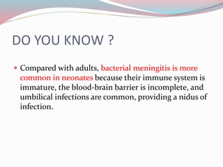 Meningitis in animals | PPTX