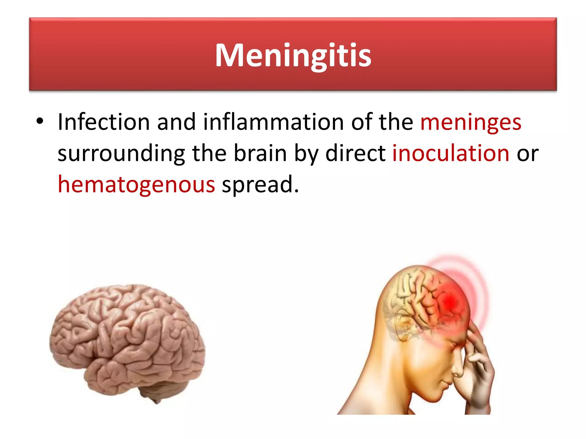 Meningitis in children | PPTX