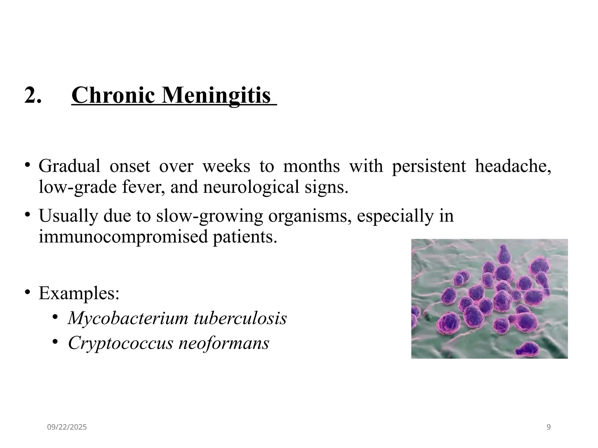 meningitis definition, clinical features intro.ppt
