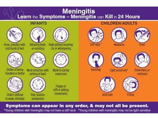 Meningitis lec | PPTX