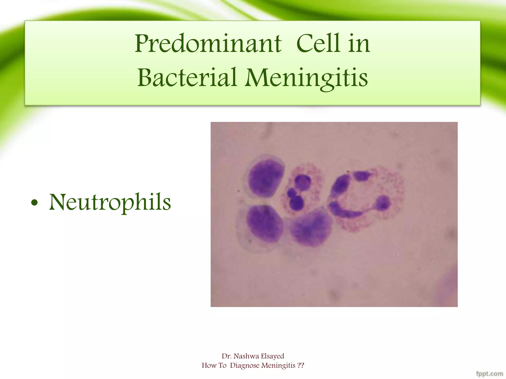 How to Diagnose Meningitis in the Lab ? | PPTX