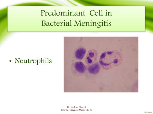 How to Diagnose Meningitis in the Lab ? | PPTX | Blood Disorders ...