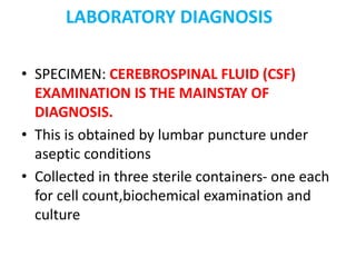 Meningitis ppt | PPTX