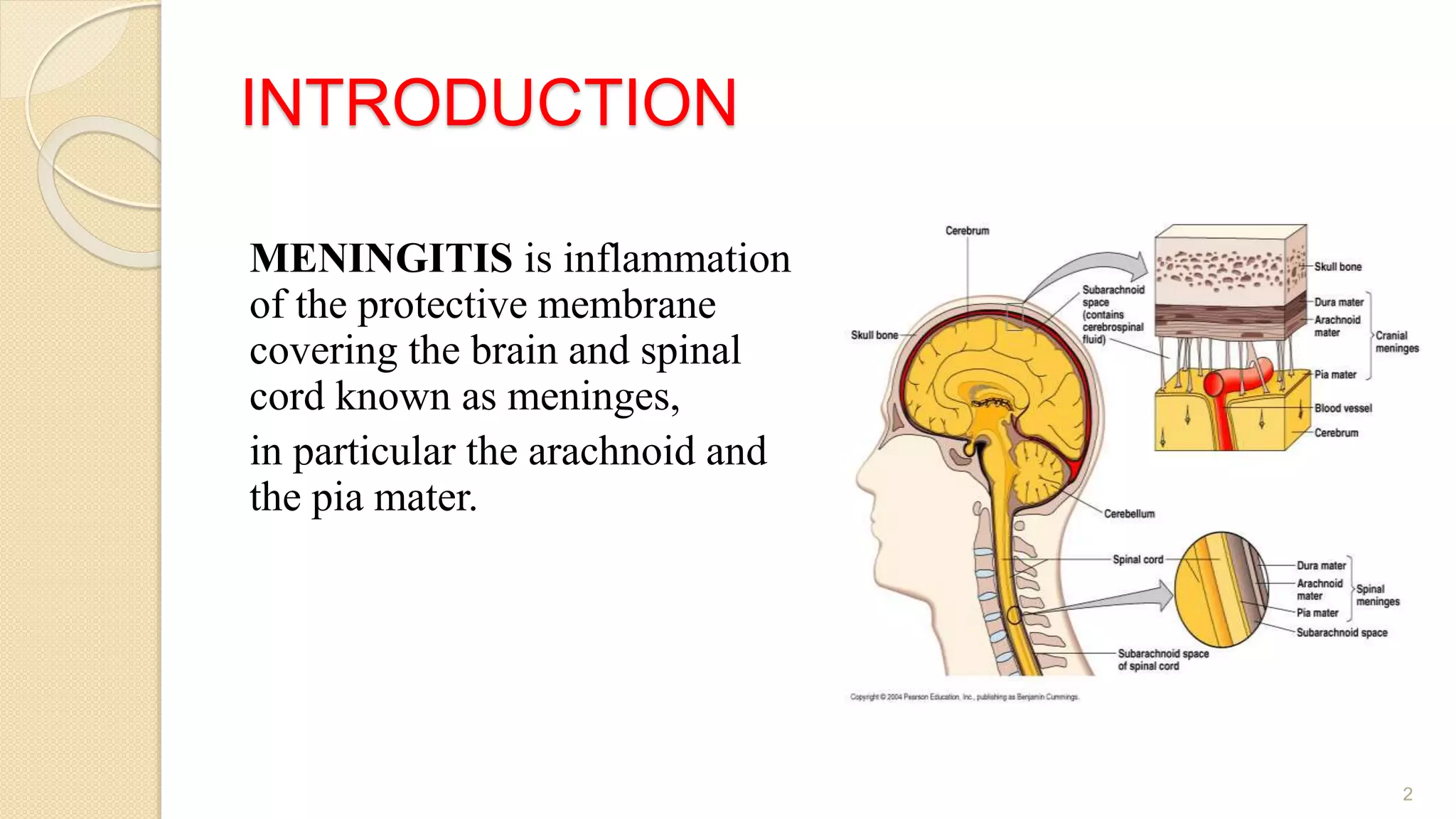 meningitis.pptx