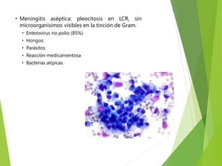 Meningitis presentación.pptx