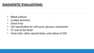 Meningitis . | PPTX | Infectious Diseases | Diseases and Conditions