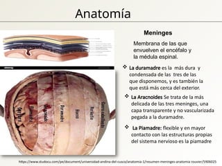 meningitis en pediatría definición y etiología .pptx