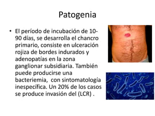 Meningitis sifilitica | PPTX