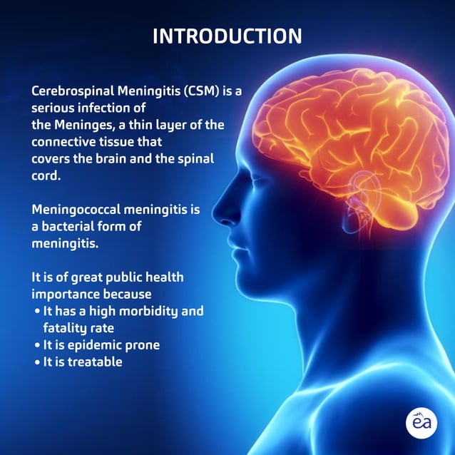 #StaySafe: Alert Points for Meningococcal Meningitis | PDF