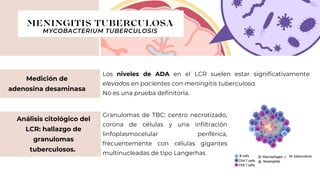 Meningitis tuberculosa aplicada en caso clinico.pdf