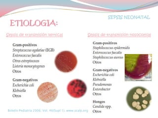 Meningitis Y Sepsis Neonatal | PDF