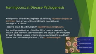 Meningococcal Disease 1.pptx