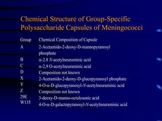 Meningococcal infection | PPTX