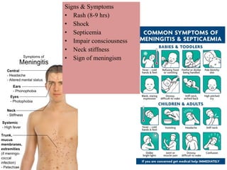 Meningococcal meningitis (dr.yla) | PPT
