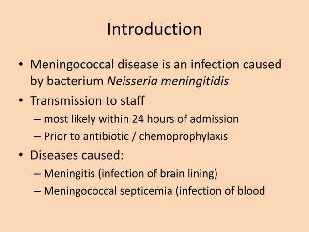 Meningococci | PPTX | Infectious Diseases | Diseases and Conditions